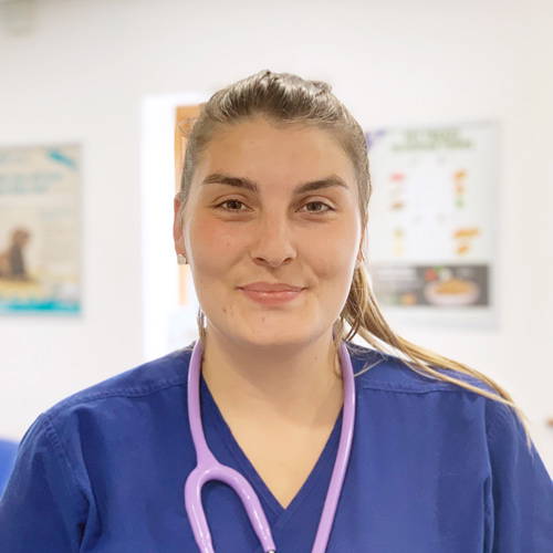 Meet the amazing veterinary team at Heathside Vets